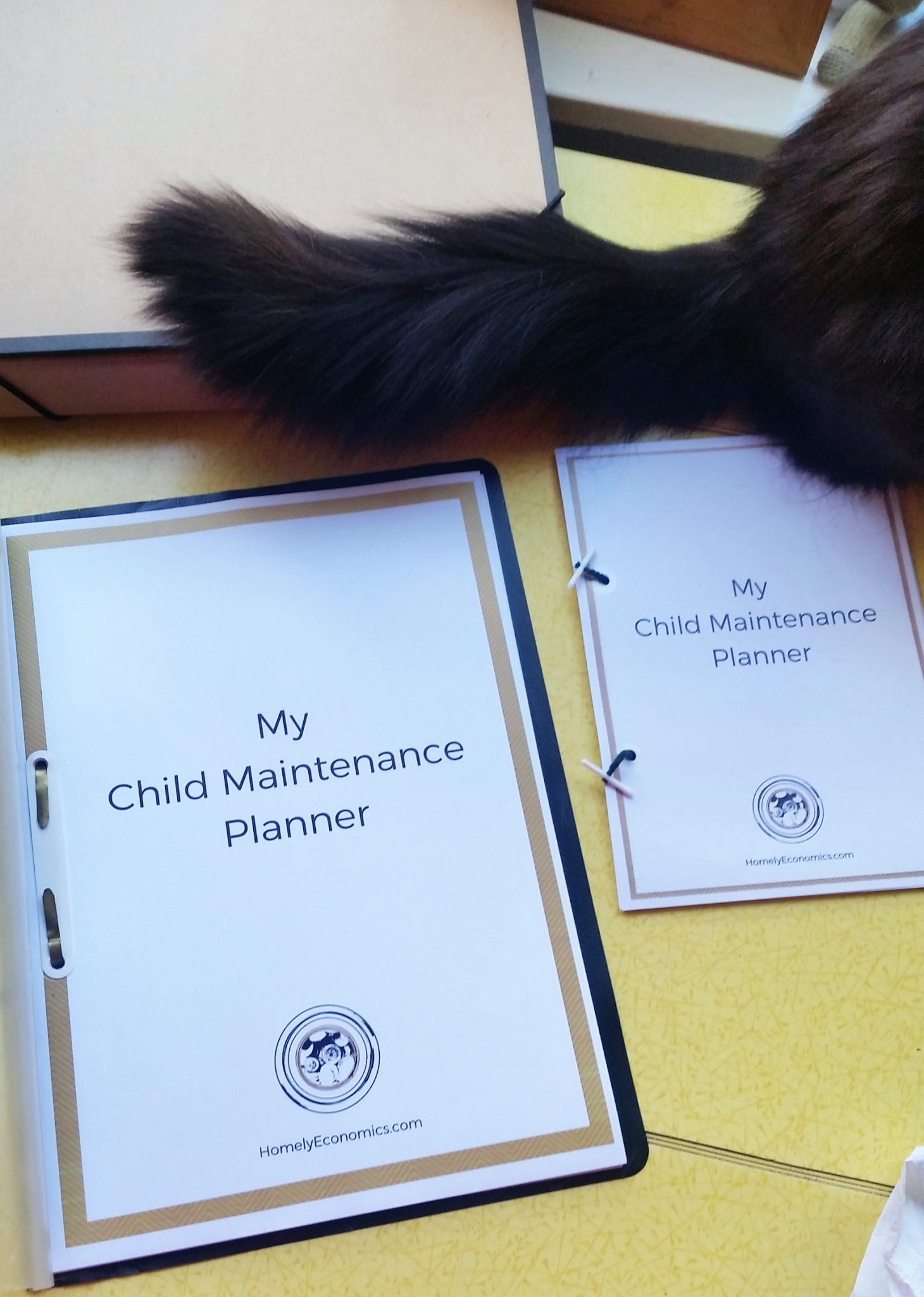 Get Your Free Child Maintenance Planner • Homely Economics