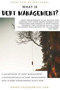 What Is Debt Management? • Homely Economics