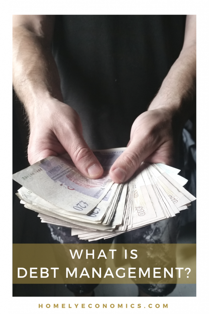 What Is Debt Management? • Homely Economics